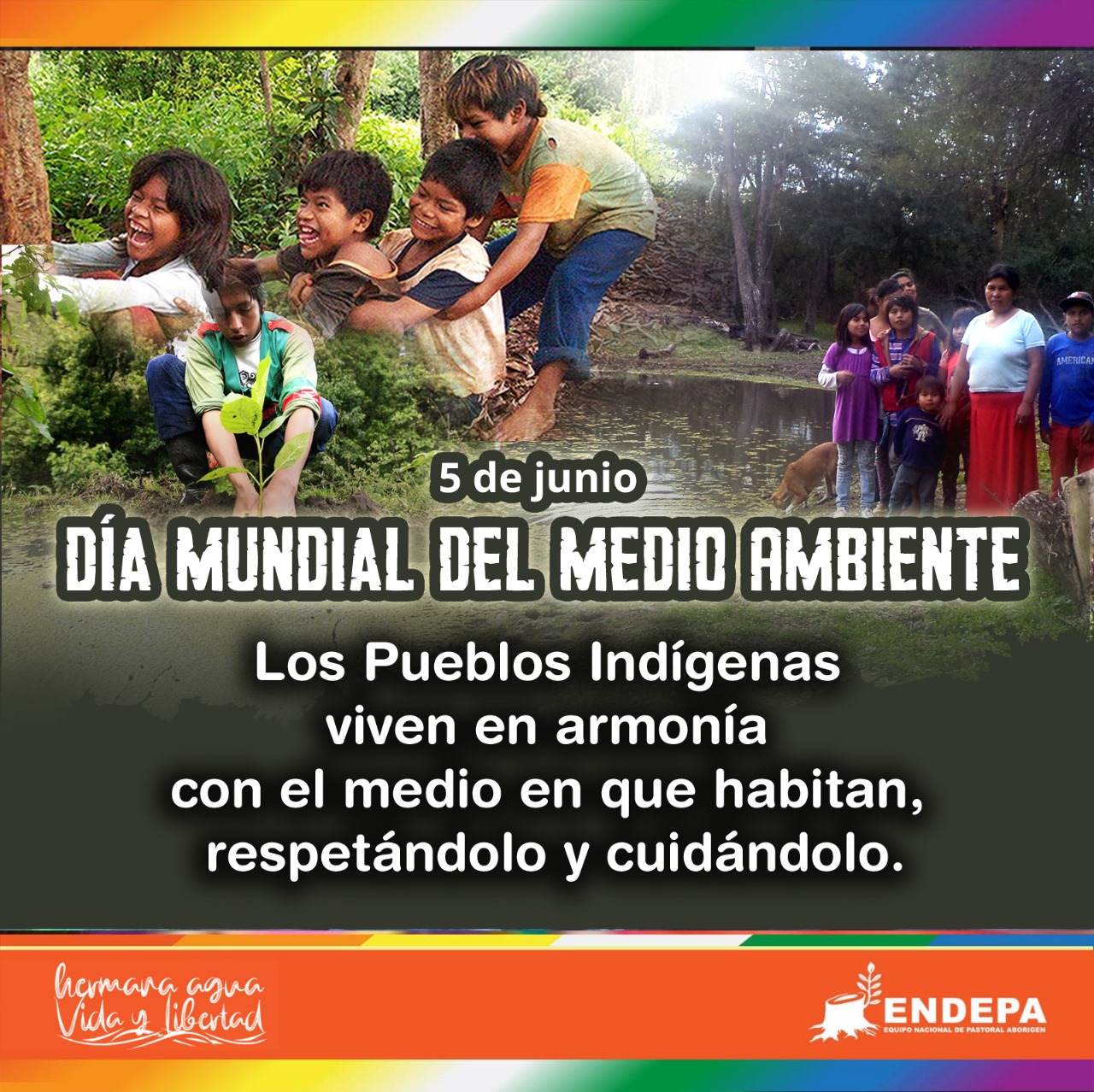 5 de junio – Día Mundial del Medio Ambiente – ENDEPA